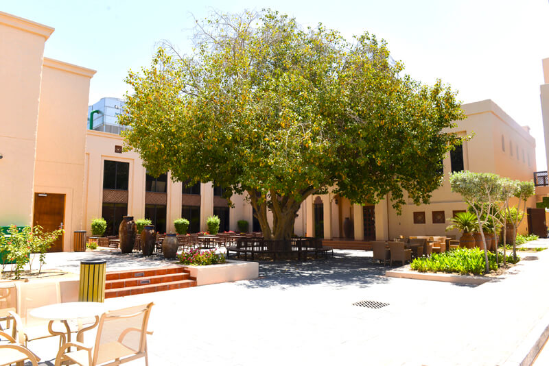 Emirates Academy of Hospitality Management (Photo Gallery)