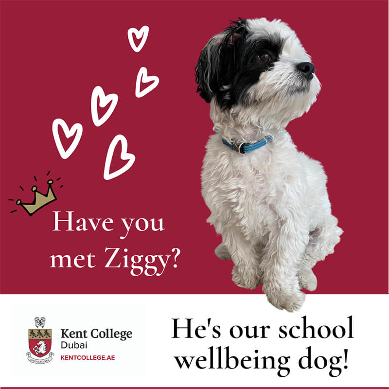 Kent College Dubai (Photo Gallery)