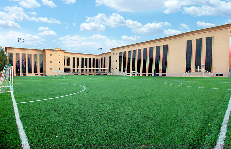 Emirates International School Logo