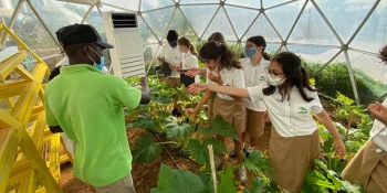 The Arbor School (Fees & Reviews) Dubai, UAE, Al Furjan