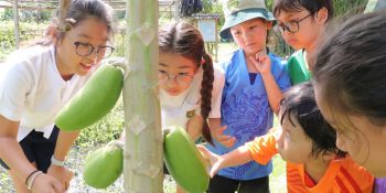 Prem Tinsulanonda International School (Photo Gallery)