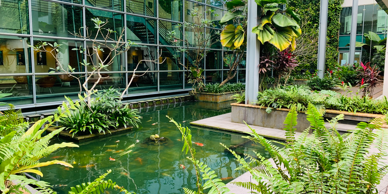 INSEAD Asia Campus (Photo Gallery)