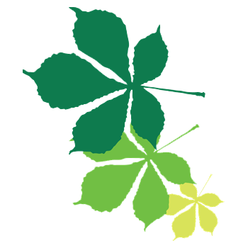 Chestnut Grove Academy (Fees & Reviews) England, London, United Kingdom ...