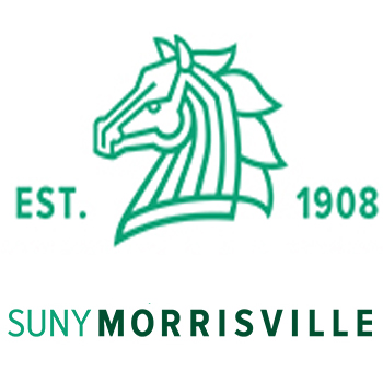 Sunny Morrisville (Fees & Reviews): New York, United States