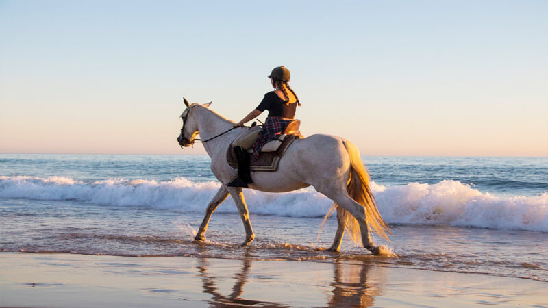 Horse Riding On The Beach - Dubai, UAE (Course)