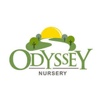 Odyssey Nursery Jumeirah Beach Residence (Fees & Reviews) Dubai, Reggio ...
