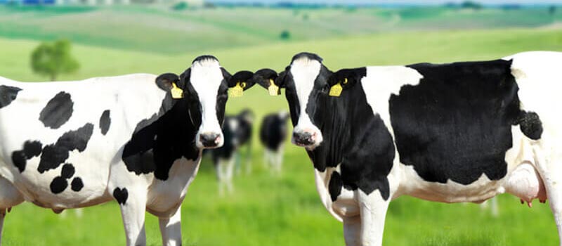 10 Things to Do in Saudi Arabia with Kids (2025)