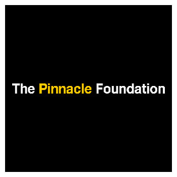 Pinnacle Foundation Scholarship (New South Wales, Australia)