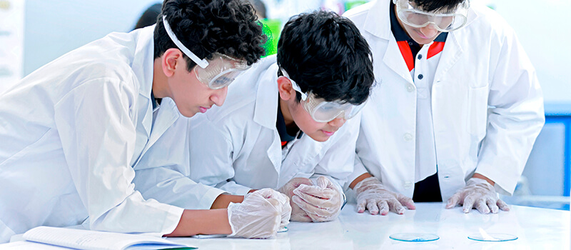 Leading the Way: Mr. Kyle Knott's Vision for Education at Newlands ...